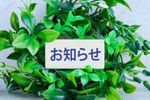 アレクサでできること29選を利用歴6年以上の私が紹介。具体的な活用シーンも解説 | アレクサのトリセツ